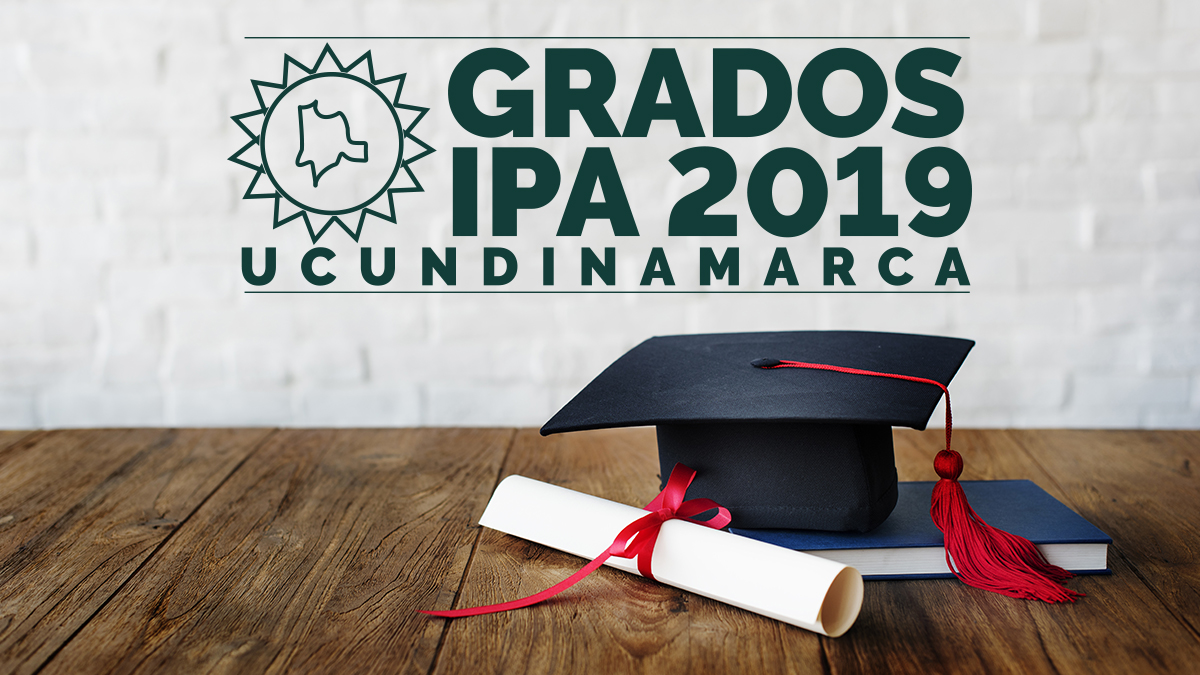 Programación de Grados IPA 2019