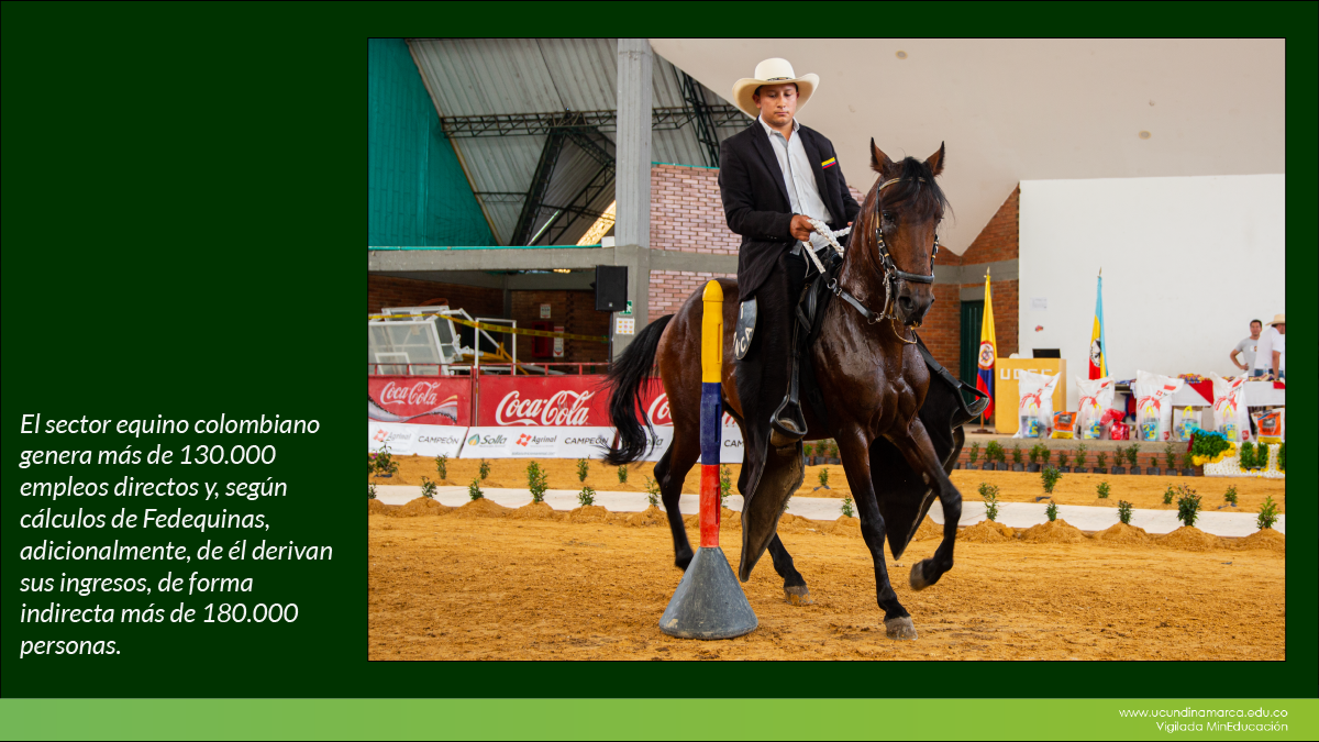 Festival equino UCundinamarca