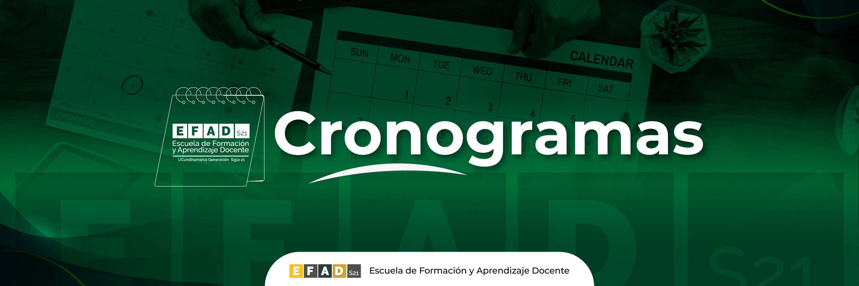 EFAD_servicios_cronogramas